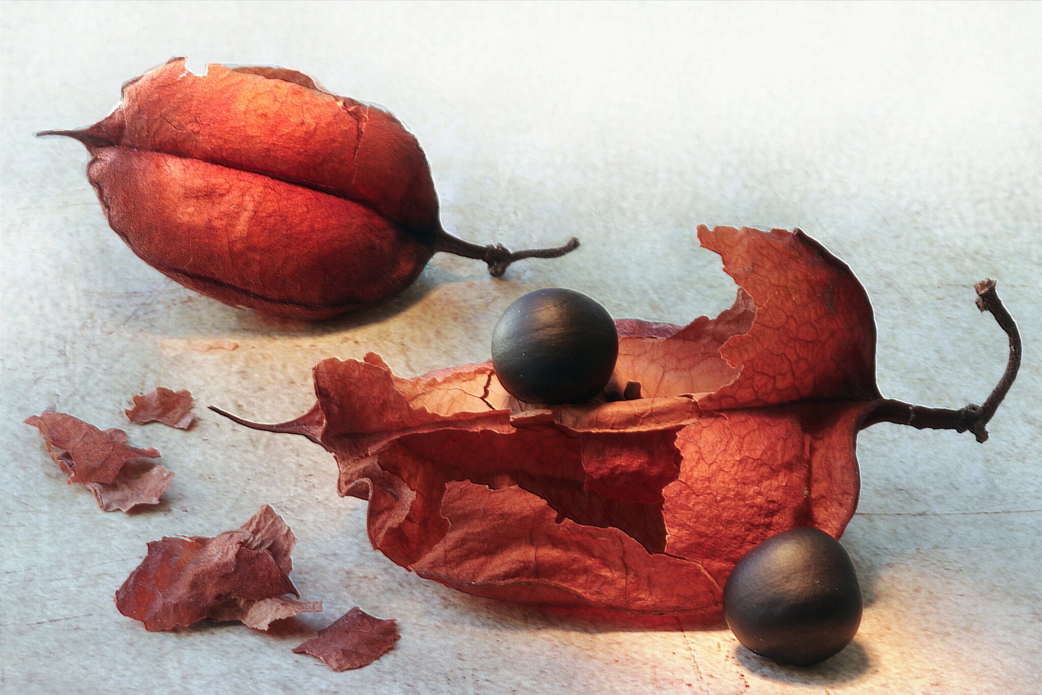 "Sobald der Geist auf ein Ziel gerichtet ist, kommt ihm vieles entgegen ...