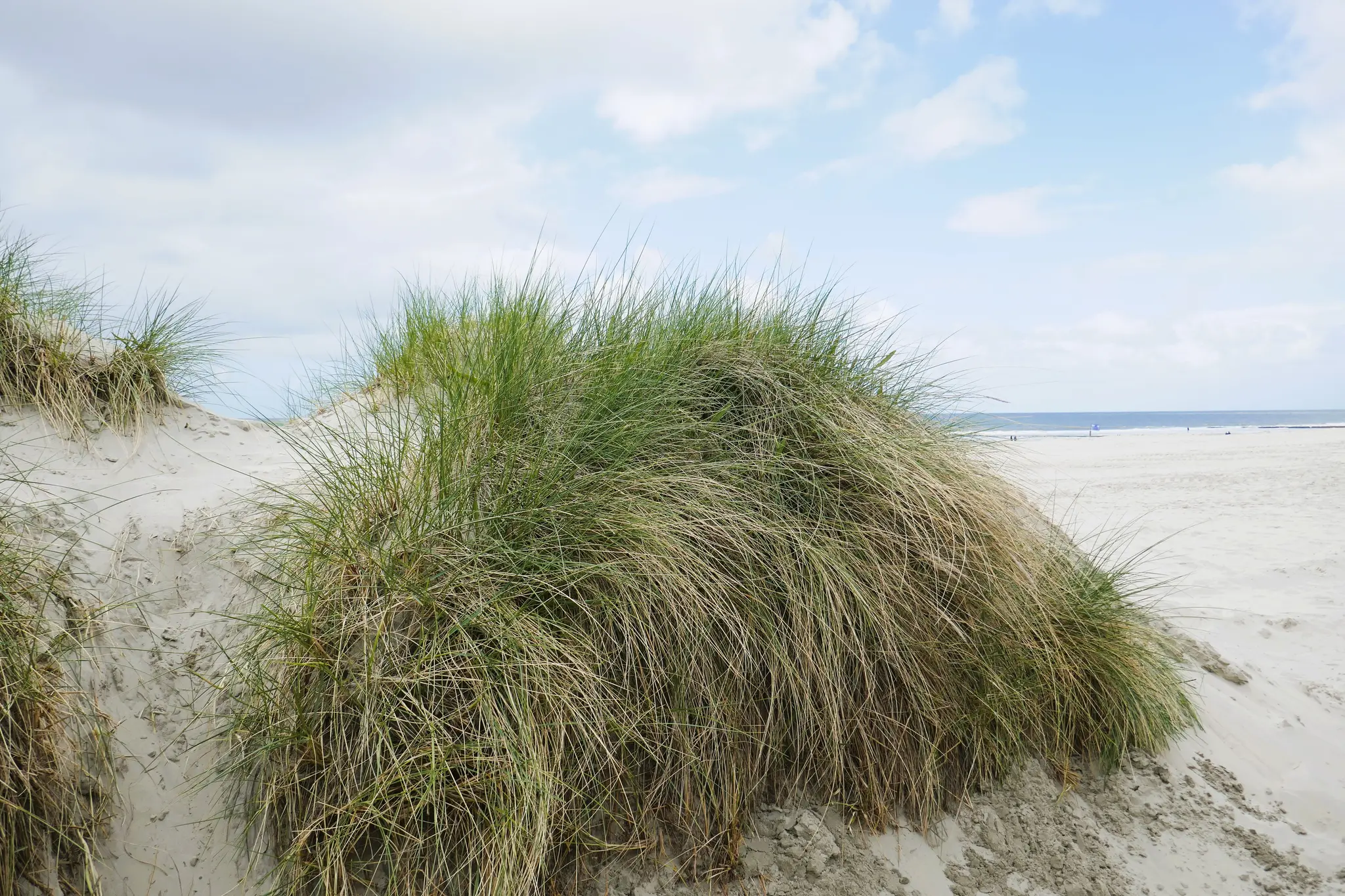 Am Meer
