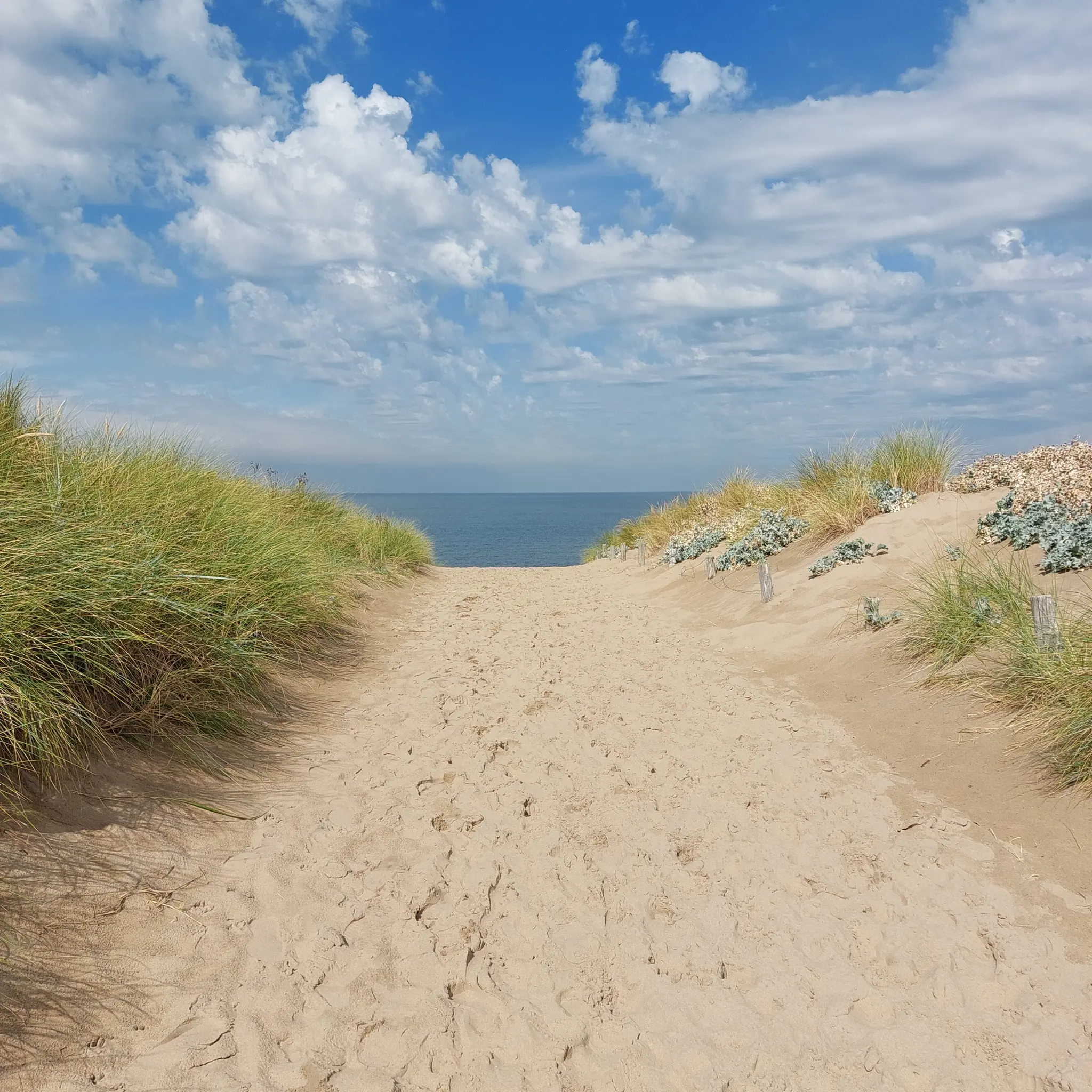 Manchmal muss ich einfach nur ans Meer!